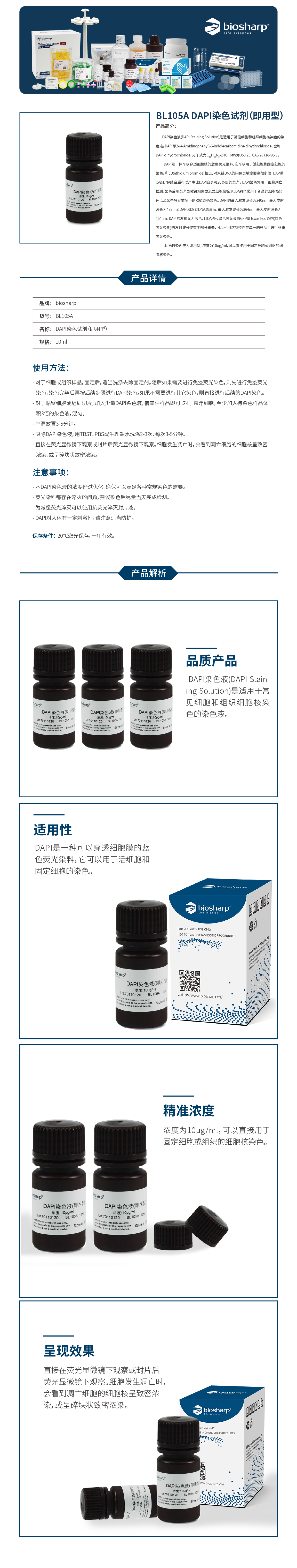 Biosharp BL105A DAPI染色试剂（即用型） - 试剂仪器耗材